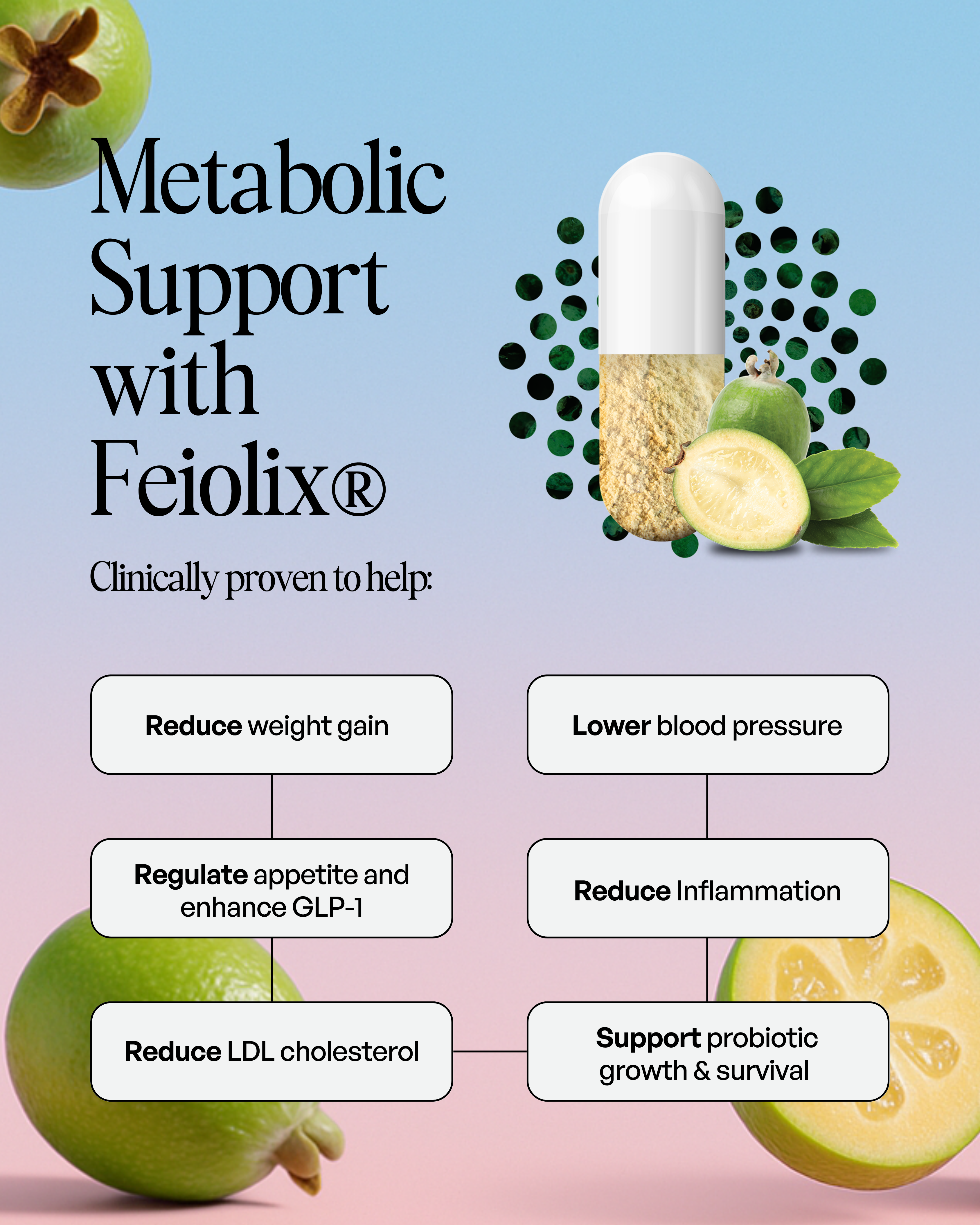 Daily Gut - Digestion and Gut Microbiome Support